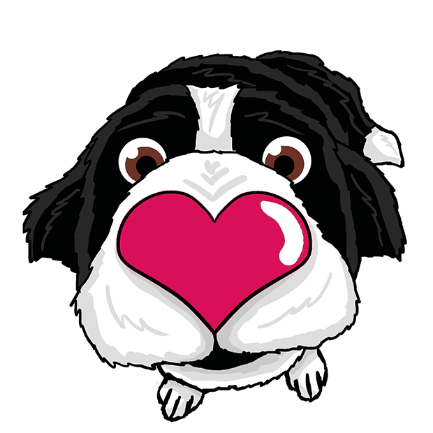 Border Collie App for iOS and Android phone | CollieMoji