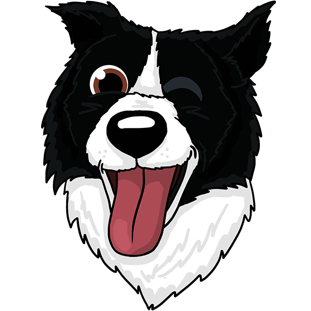 Border Collie App for iOS and Android phone | CollieMoji